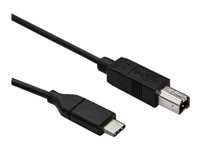 Axiom - USB cable - USB Type B to USB-C - 10 ft