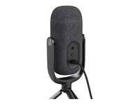 JLab Epic Talk - Microphone