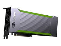 NVIDIA Quadro RTX 6000 Passive - graphics card - Quadro RTX 6000 - 24 GB