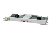 Cisco CRS-3 1-Port 100 Gigabit Ethernet Interface Module - expansion module