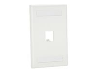 Panduit MINI-COM Classic Series Faceplates with Label and Label Cover ...