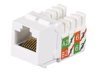 Black Box GigaTrue2 CAT6 Jack - modular insert
