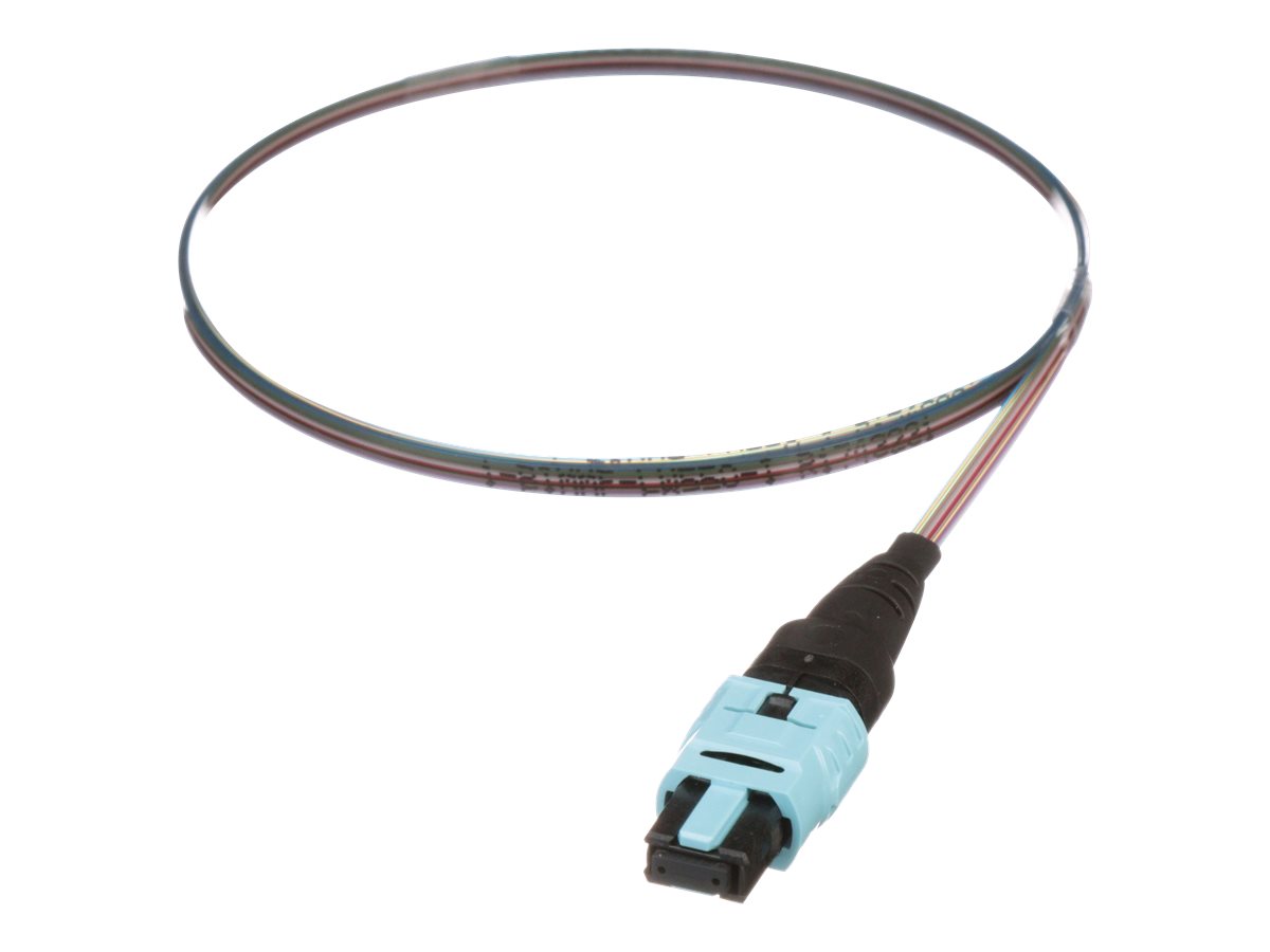 Panduit QuickNet PanMPO/MPO Ribbon Pigtail Assembly | Overview, Specs ...