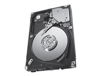 Seagate Enterprise Performance 15K HDD ST9300653SS - hard drive - 300 ...
