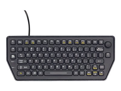 iKey SLK-79-FSR - keyboard - with Force Sensing Resistor Pointing Device
