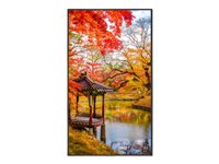 NEC MultiSync MA491-IR MA Series - 49" LED-backlit LCD display - 4K - for digital signage