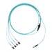 Panduit QuickNet 4 to 1 Conversion Harness Cable Assemblies - network ...