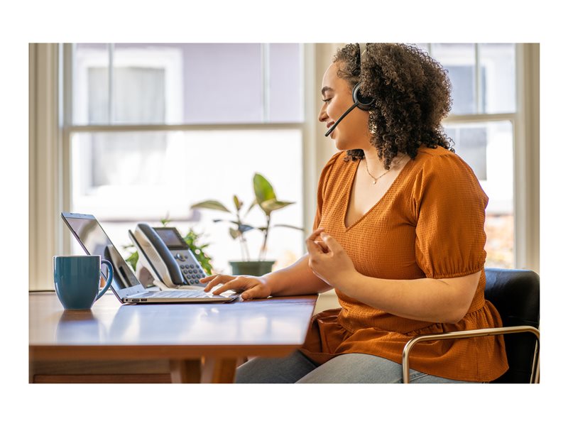 Poly Voyager 4320 - micro-casque USB + dongle BT700 (76U49AA)