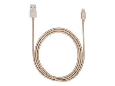 iStore Lightning cable - Lightning / USB - 4 ft