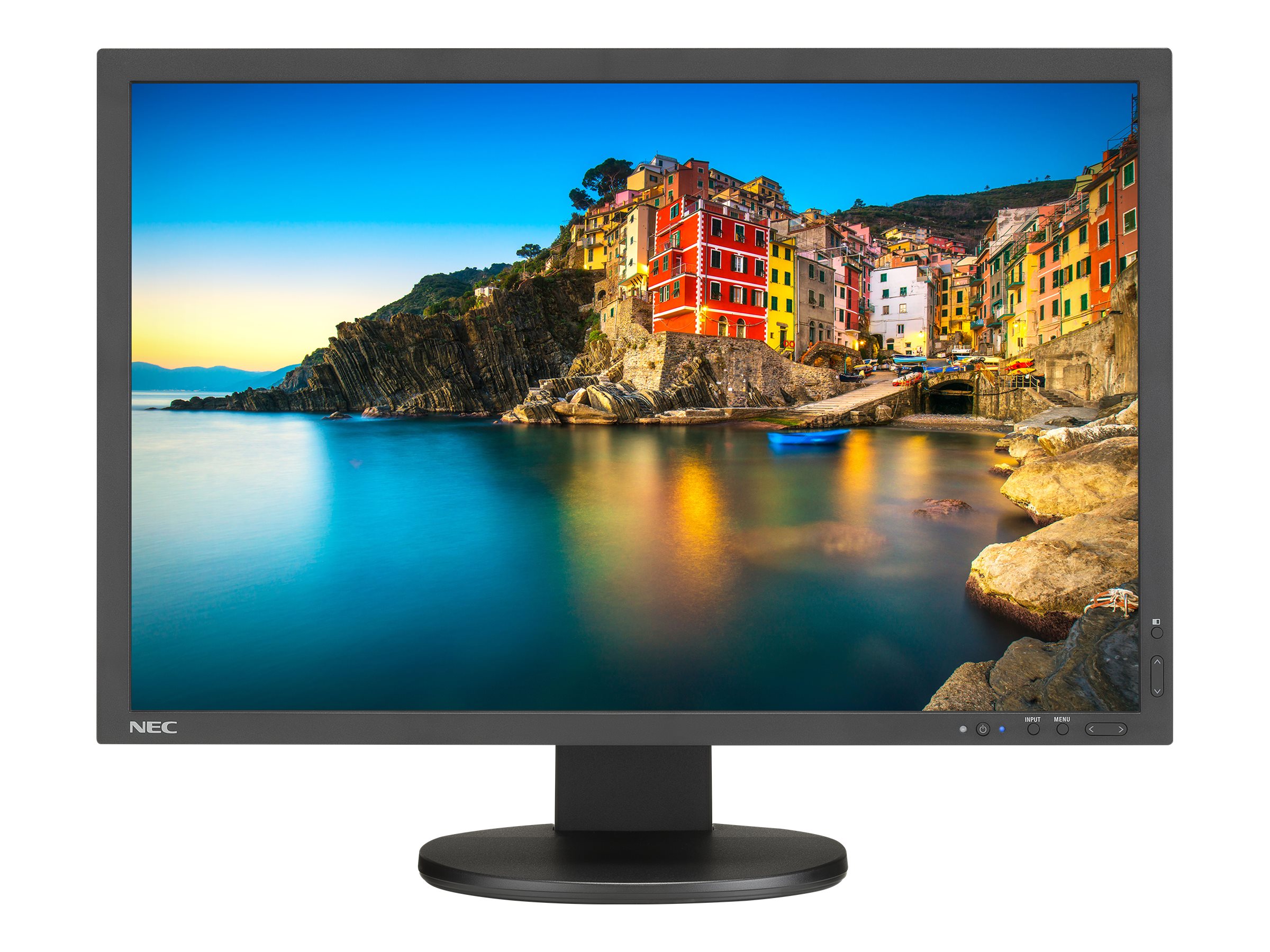 Multioculus - Sharp NEC Display Solutions - NEC MultiSync P243W-BK-SV