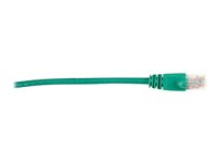 Black Box patch cable - 1 ft - green