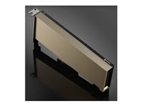 NVIDIA A2 - GPU computing processor - NVIDIA A2 Tensor Core - 16 GB