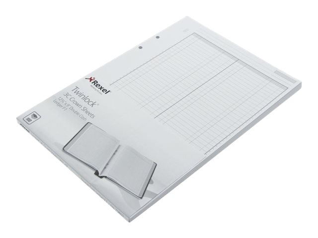 ACCO Twinlock Crown 3C Double Ledger - loose-leaf accounting system ...