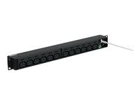 Panduit Basic Rack PDU - power distribution unit