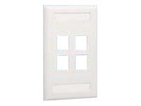 Panduit NetKey Flush Mount Screw-On Faceplates with Labeling - faceplate