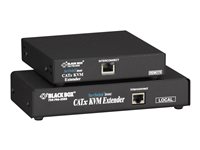 Black Box ServSwitch Brand CATx KVM Extender - KVM extender
