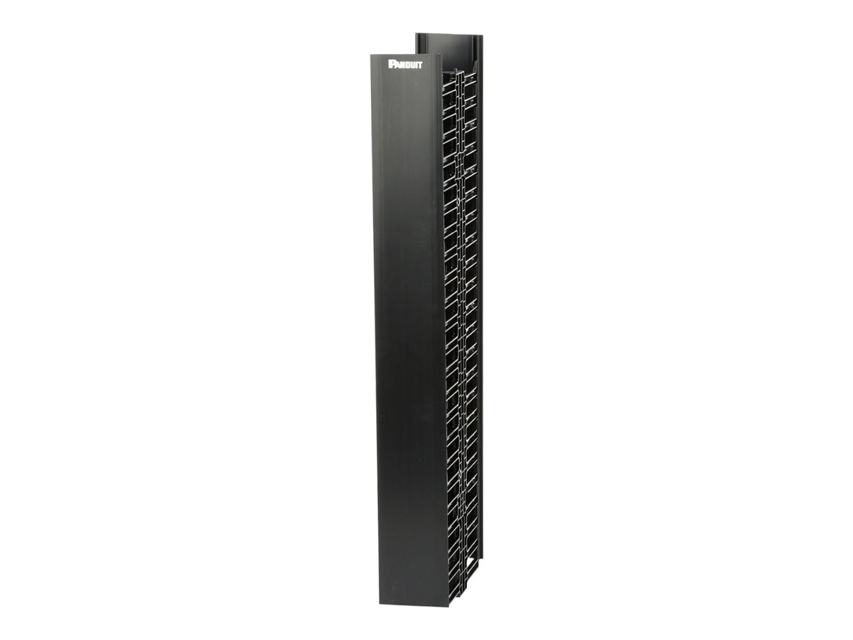 Panduit NetRunner - Rack cable management panel (vertical) | Overview ...