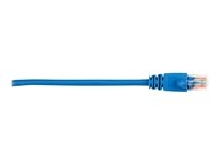 Black Box patch cable - 4 ft - blue