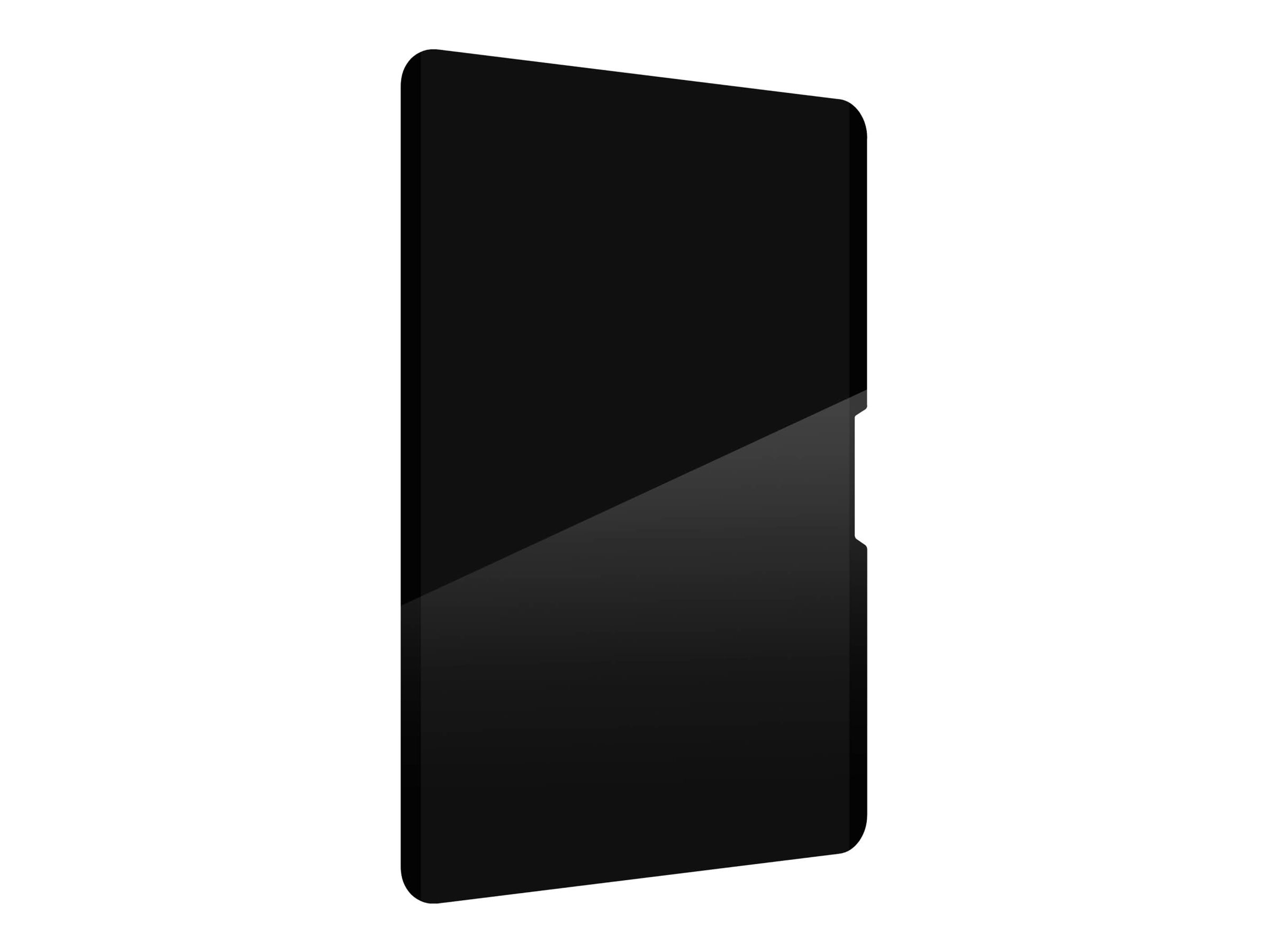 ZAGG - Screen privacy filter for tablet | Overview, Specs, Details | SHI