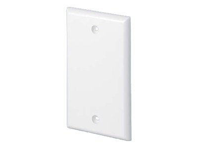 Panduit Pan-Way Classic Series Screw-On Single Gang Blank Faceplate ...
