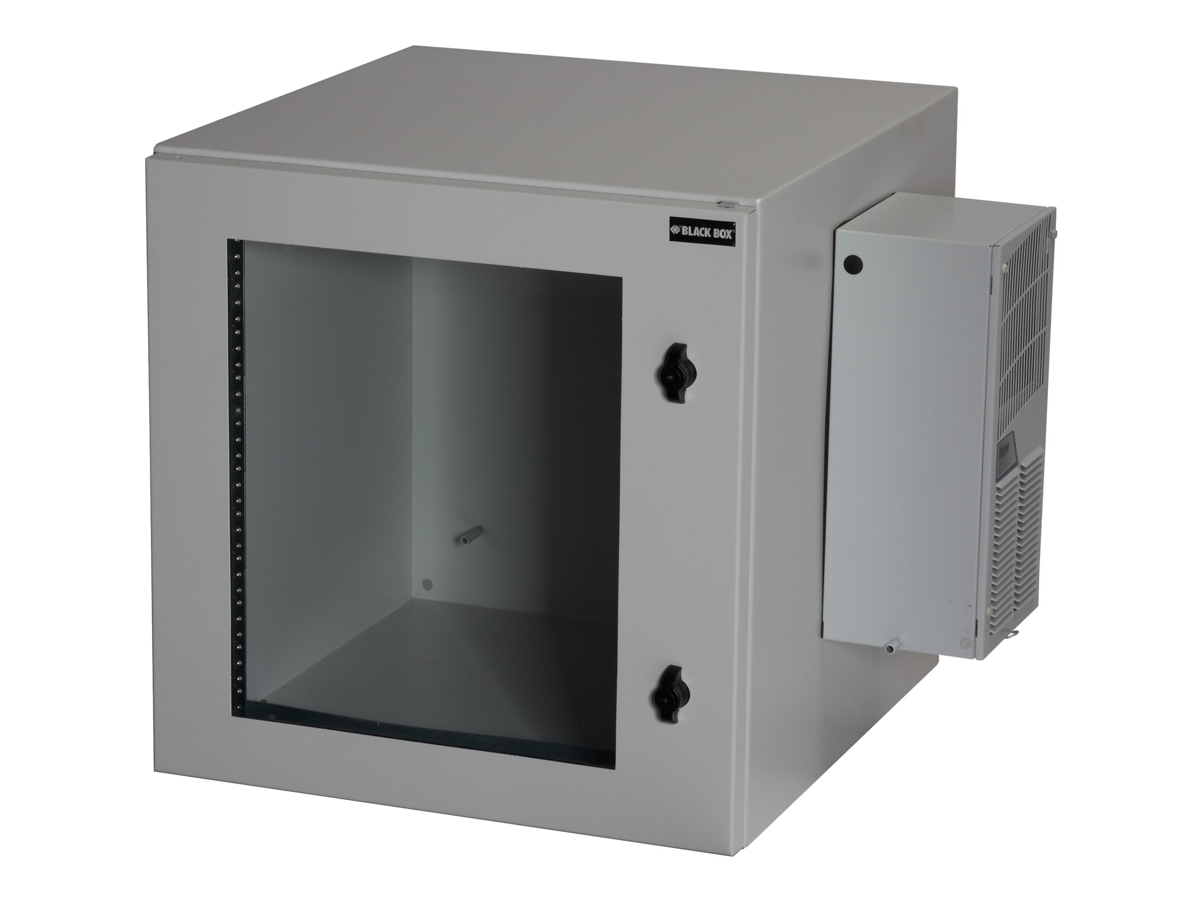 Black Box ClimateCab NEMA 12 Wallmount Cabinet with Air Conditioning ...