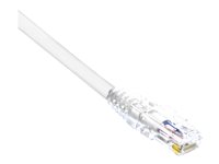 Weltron patch cable - 2 ft - white