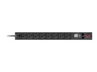 APC Switched Rack PDU AP7901B - power distribution unit