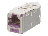 Panduit MINI-COM TX6A modular insert