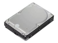 Lenovo - hard drive - 6 TB - SATA 6Gb/s