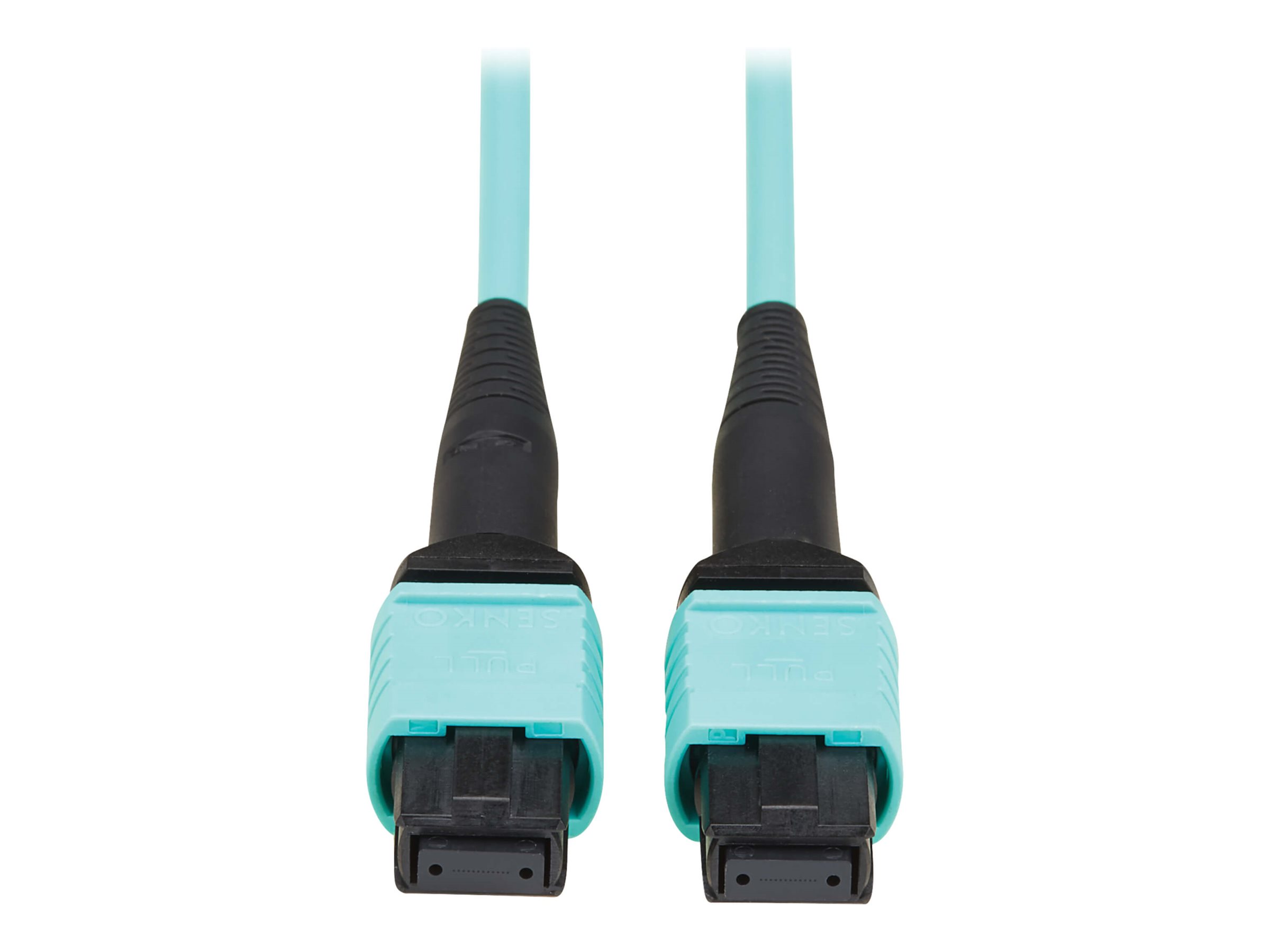 Eaton Tripp Lite Series | SHI