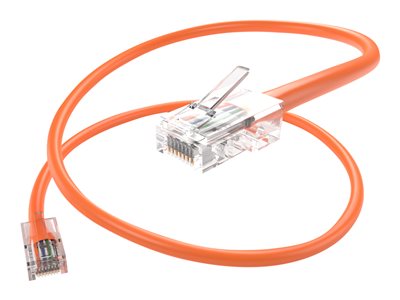 UNC Group patch cable - 75 ft - orange