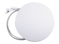 Cisco Meraki antenna