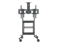 AVTEQ RPS Series 500S - cart - for 2 LCD displays