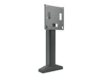 Chief Large Capacity Electric Floor Stand Display Mount - For Flat ...