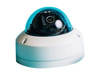 Rhombus R120 - network surveillance camera - dome - TAA Compliant ...