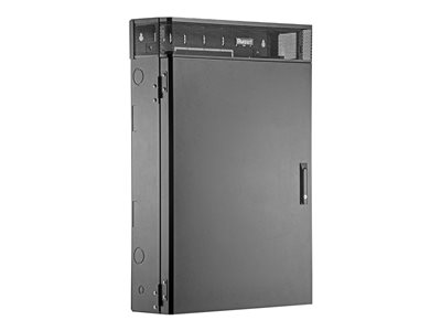 Panduit PanZone TrueEdge Vertical Wall Mount Enclosure - cabinet - 3U