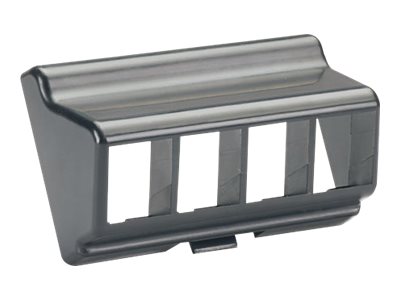 Panduit NetKey Modular Furniture Faceplate | Overview, Specs, Details | SHI