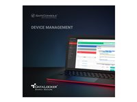 DataLocker Secure USB Device Management - Subscription license renewal (3 years) - per device