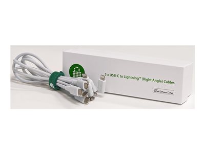 LocknCharge - Lightning cable - USB-C to Right angle Lightning - 300 mm ...