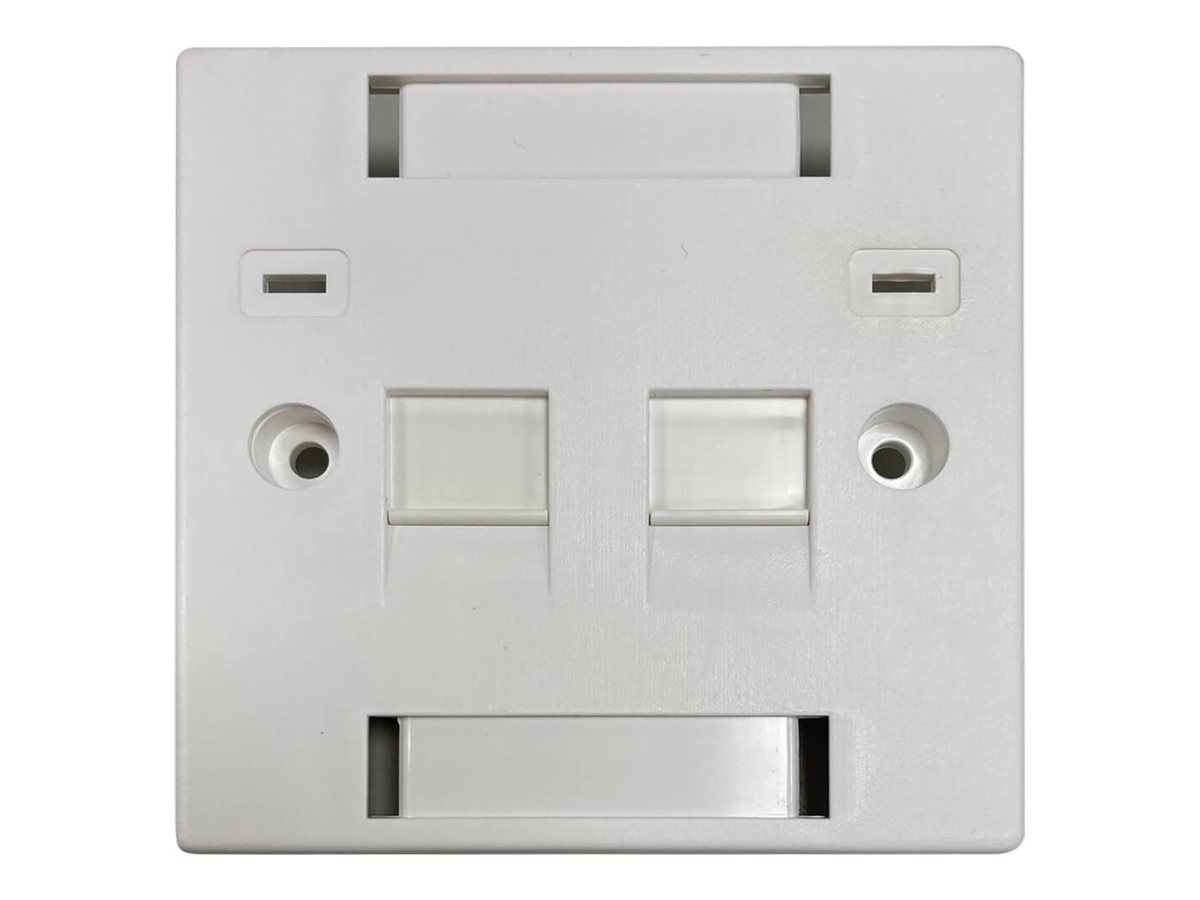 Eaton Tripp Lite Series 2-Port UK-Style Keystone Wall Plate, Unloaded ...
