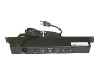 Wiremold Plug-In Outlet Center Rack Mount | SHI