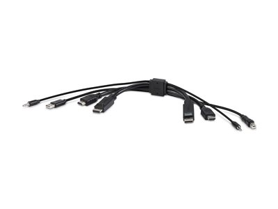 Belkin Secure KVM Combo Cable - video / USB / audio cable - TAA ...