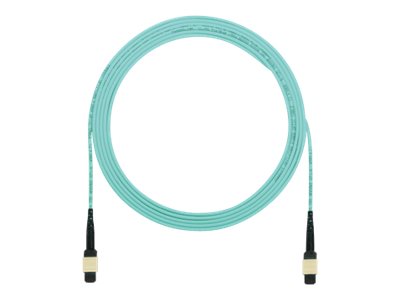 Panduit QuickNet MPO Interconnect Round Cable Assemblies | www.shi.com
