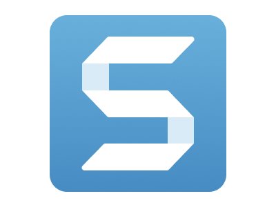 Snagit 2025 - Business subscription license (1 year) - 1 user