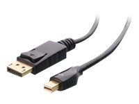Cable Matters DisplayPort cable - 6 ft