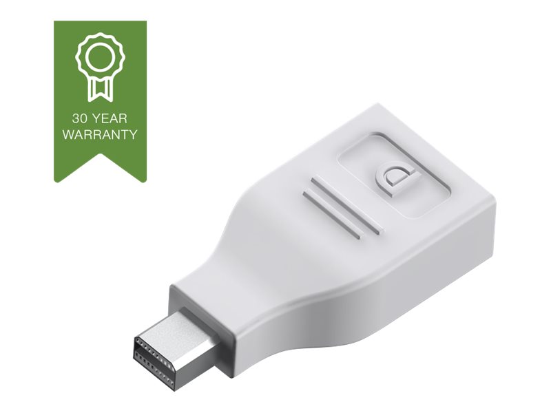 Vision Techconnect - DisplayPort adapter | www.shi.fr