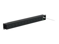 Panduit Basic Rack PDU - power distribution unit - 1400 VA