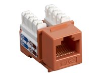 Black Box Value Line CAT6 - modular insert