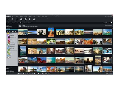 MAGIX Photo Manager Deluxe - license - 1 license