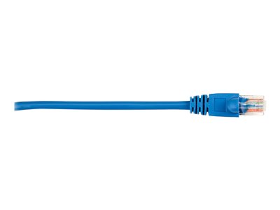 Black Box patch cable - 4 ft - blue